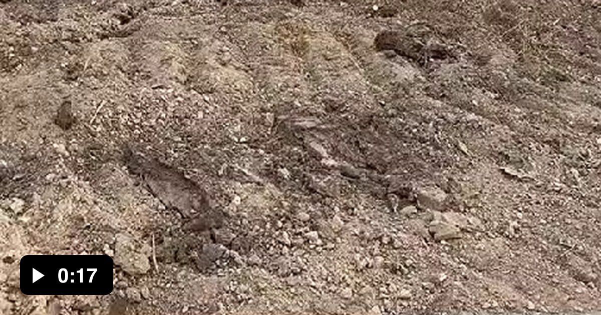 Your beloved Merkava in day 1, enjoy Zionet 'c' suckers - 9GAG