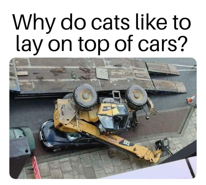 I guess it's warm - 9GAG