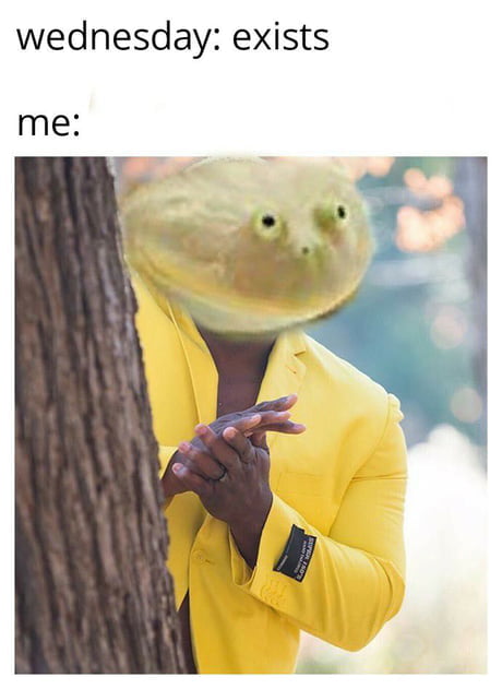 It is Wednesday, my dudes. 🐸 - 9GAG
