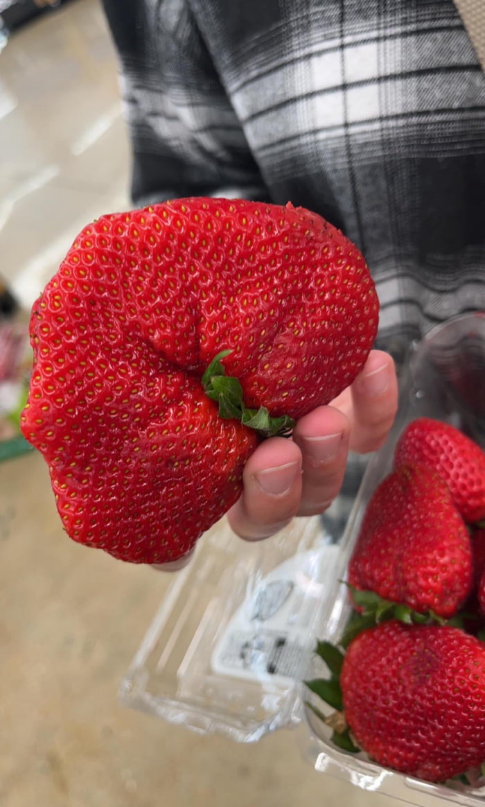 Strawberry Ruler: Fruit Frenzy - 9GAG