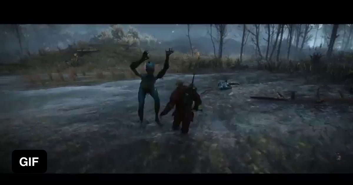 Small Witcher 3 Gif Dump - 9GAG