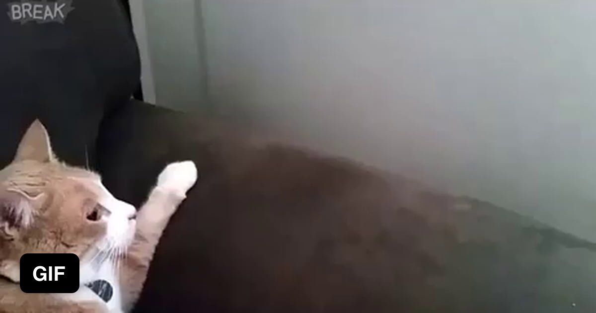 Explains itself - 9GAG