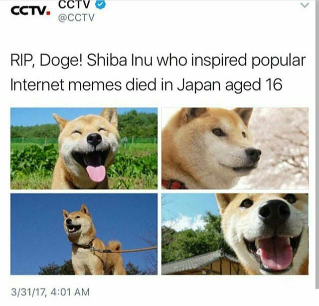 Rip doge - 9GAG