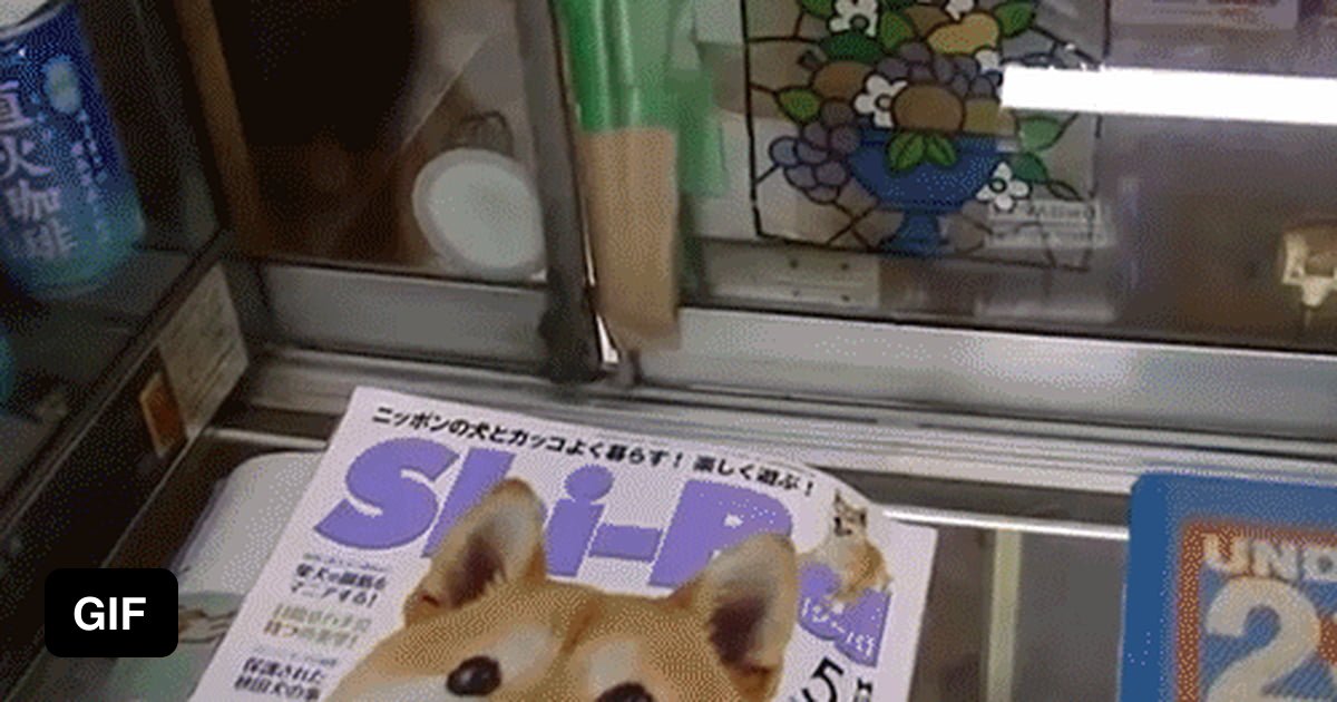 Welcome to Dogo Shop have can I help you? - 9GAG