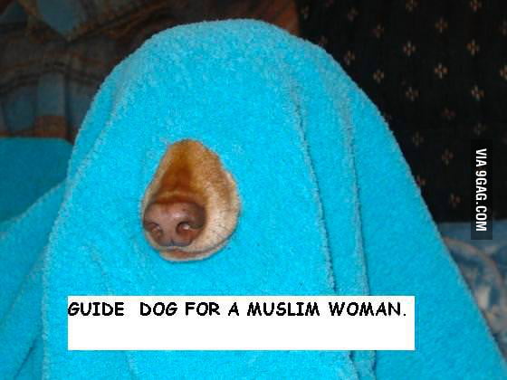 Guide dog (barka) for women with burka - 9GAG