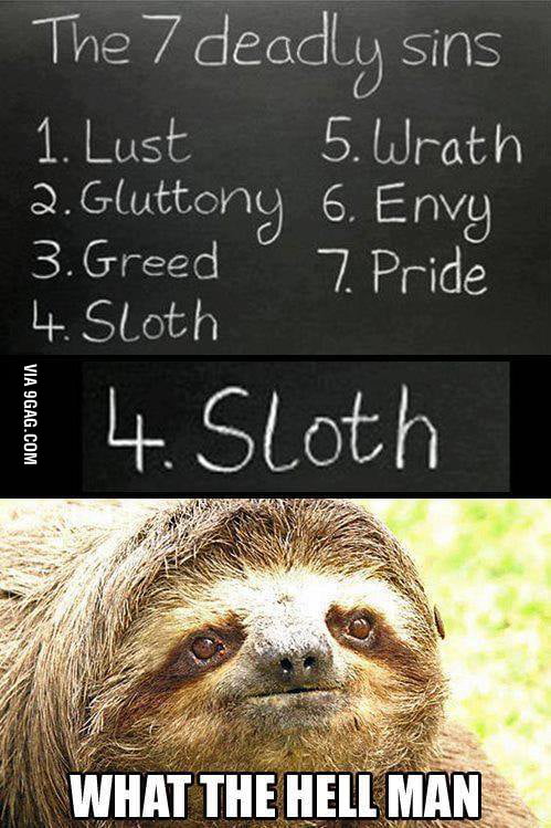 Poor sloths - 9GAG