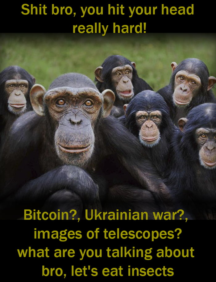 Return to monke - 9GAG