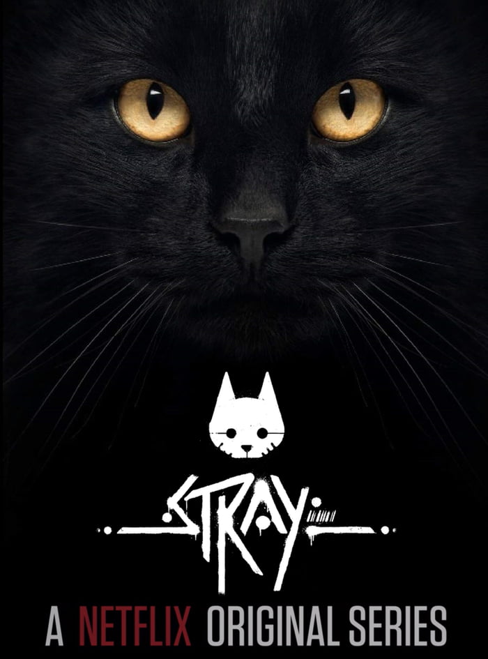 If NETFLIX made Stray... - 9GAG