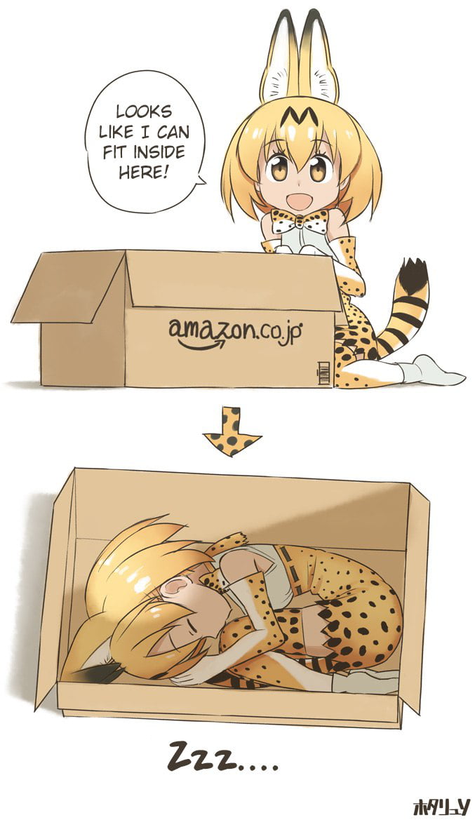 She likes boxes - 9GAG