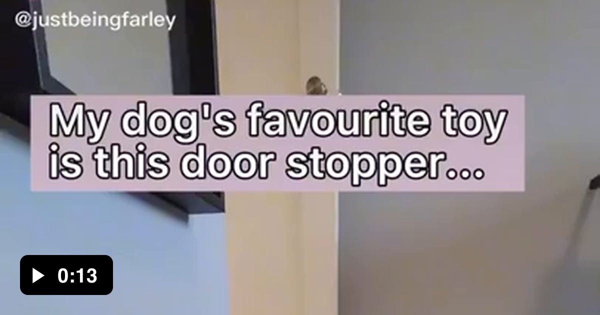 Favorite Toy 9gag