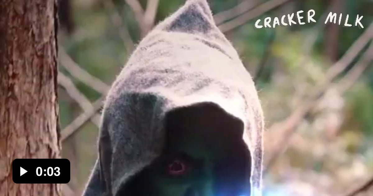 Cracker milk downvote (fell free to use it) - 9GAG