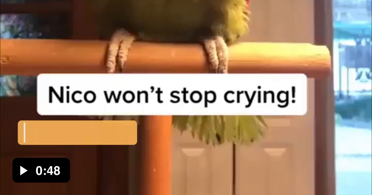 Nico is crying - 9GAG