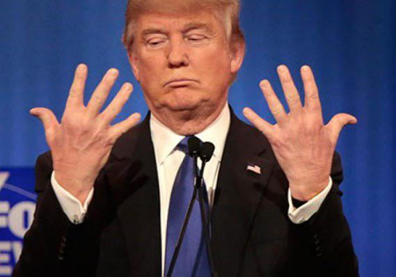 As expected, the banned math books in Florida are being replaced with ...