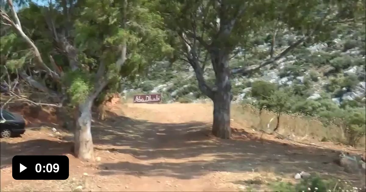 Mikko Hirvonen vs tree : WRC 2011 Greece - 9GAG