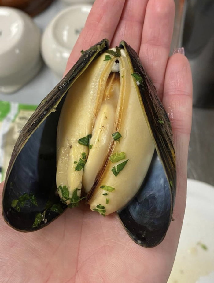 This Mussel - 9GAG