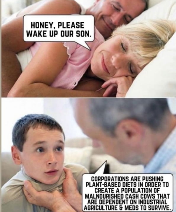 He's awake now! - 9GAG