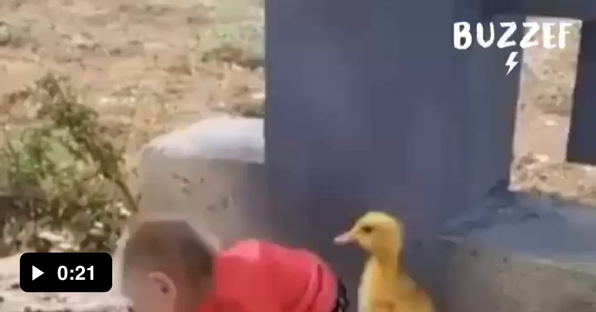 One of the rarest and most beautiful friendships that you can see, a ...