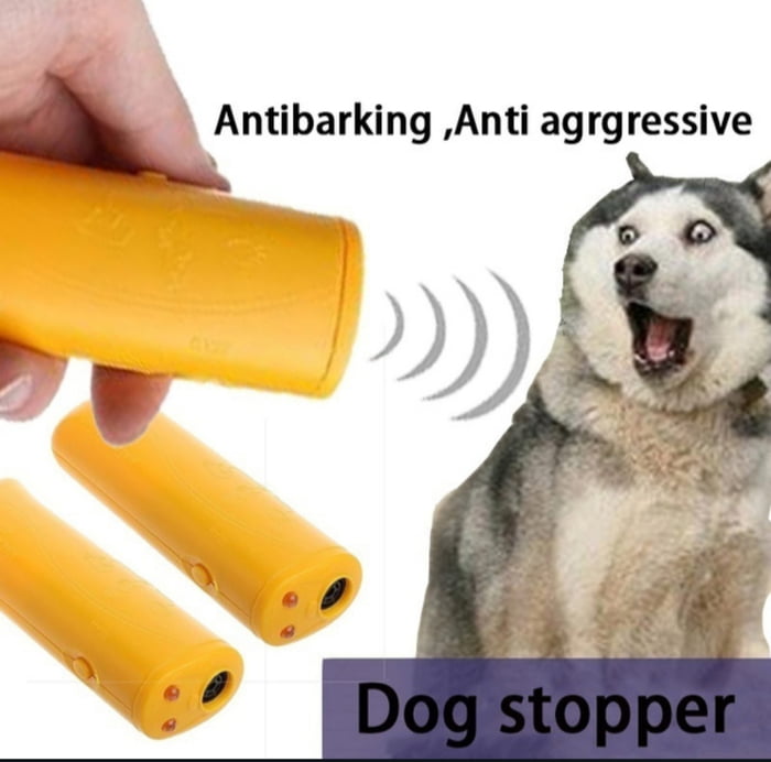 Scrolling wish for shits and giggles when suddenly: - 9GAG