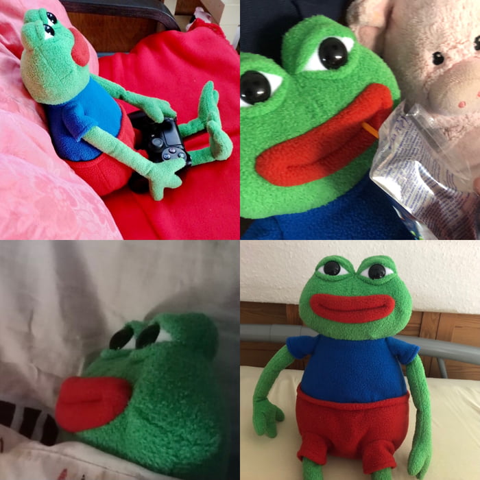 I love my Pepe. We are best friends. - 9GAG