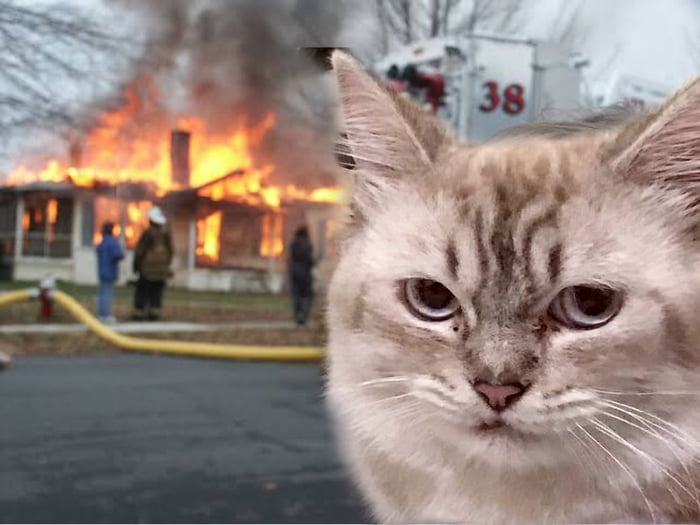 Disaster cat - 9GAG