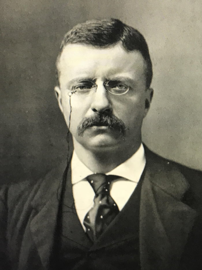 Theodore Roosevelt the giga chad - 9GAG