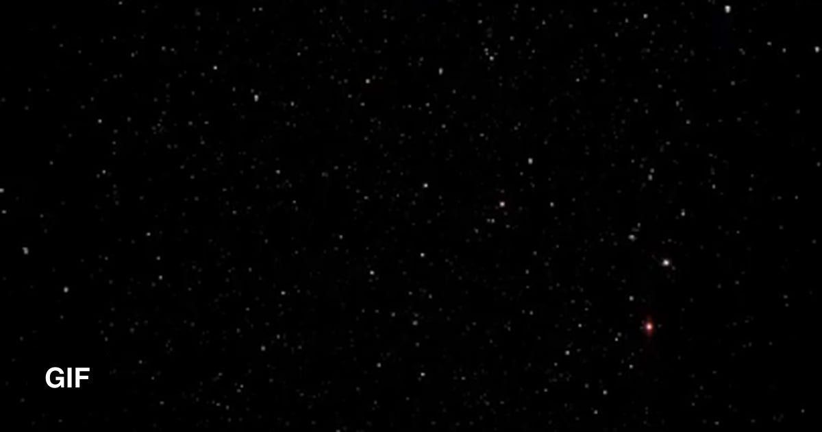 Live Stars (720x1280) - 9GAG