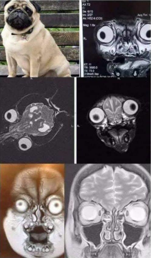 【問題】北極熊是不是很自私啊 @場外休憩區 哈啦板 - 巴哈姆特