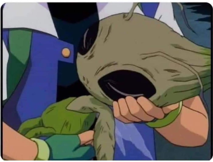 The lettuce on a Mc chicken - 9GAG