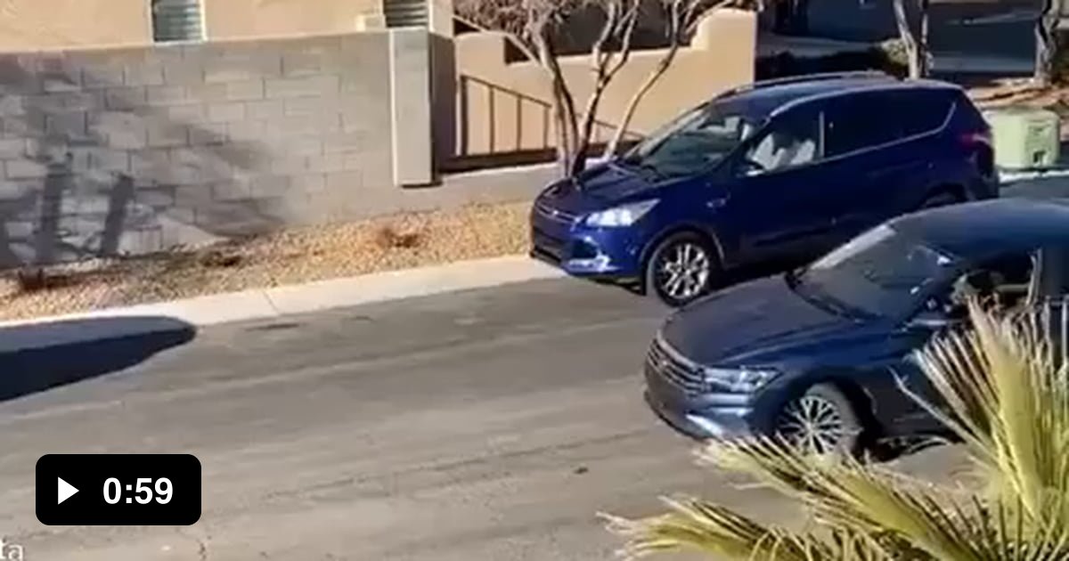 Helping out stranger park her car, most wholesome moment ever - 9GAG