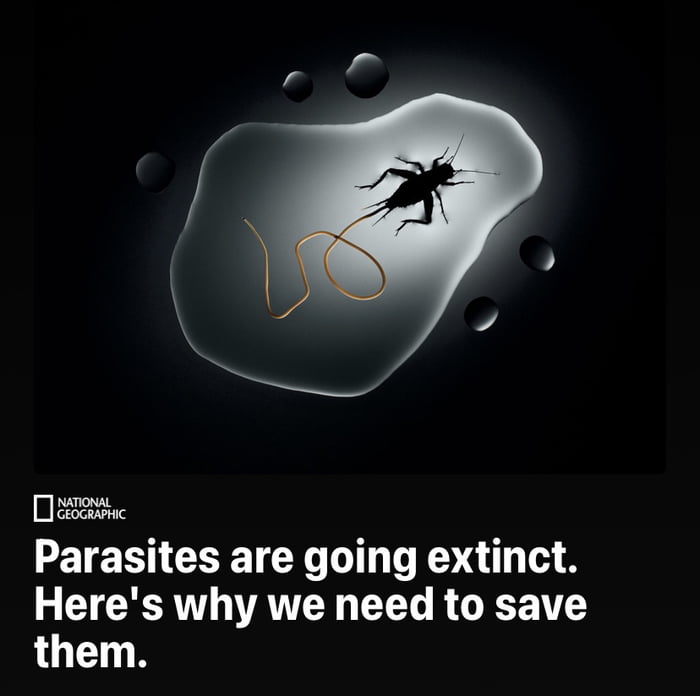 I don’t know, seems like something a parasite would write... - 9GAG