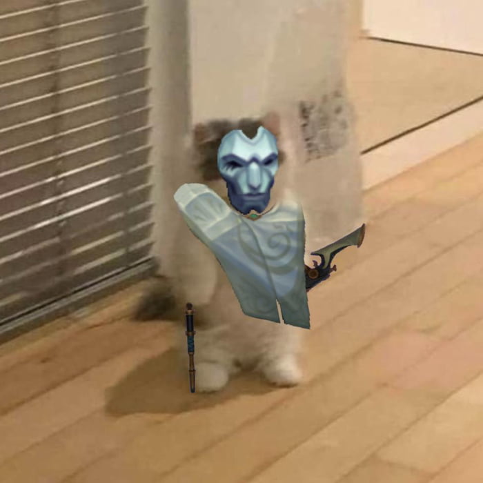 Jhin as a cat - 9GAG