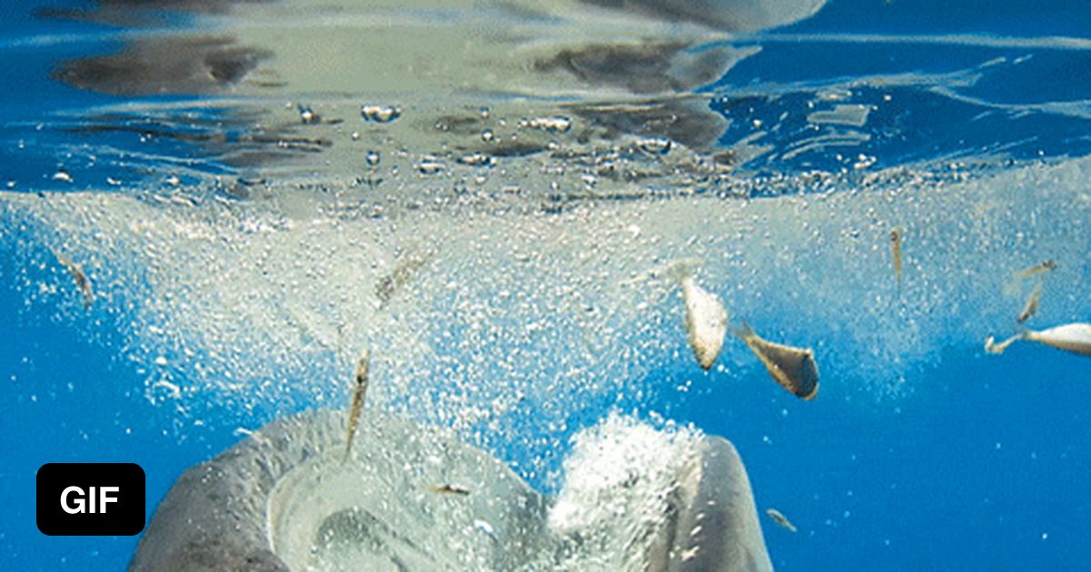 Sam: This is our last drops of water, Master Frodo. Frodo: - 9GAG