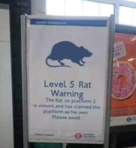 Is level 5 high or low - 9GAG