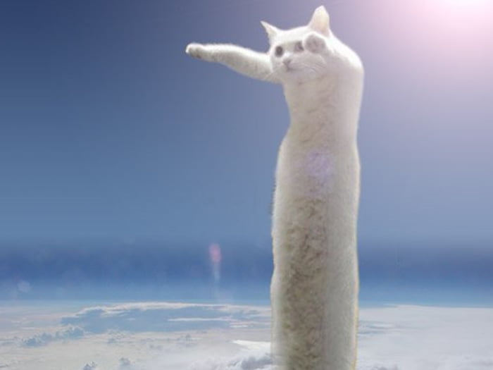 Post your best longcat memes! - 9GAG