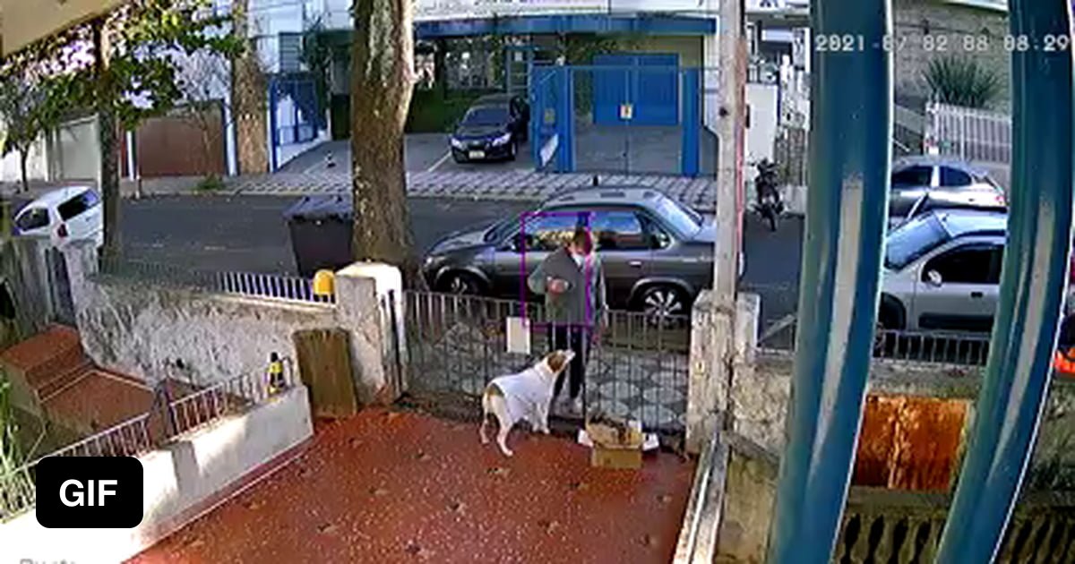 This is Brazil: where even dogs get robbed! - 9GAG