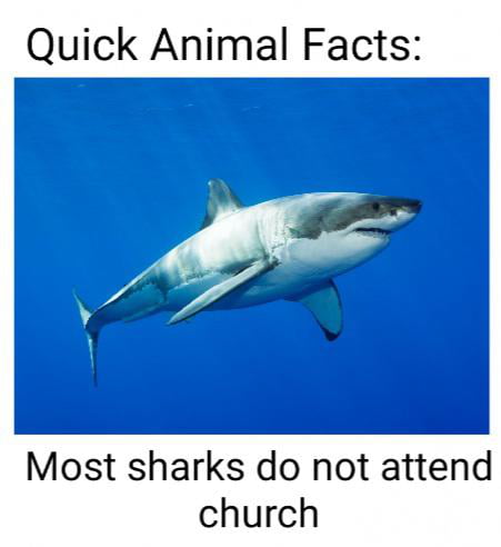Quick Animal Fact #2 - 9GAG