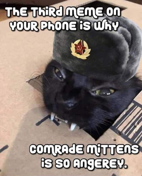 Aight, let me confiscate those memes - 9GAG