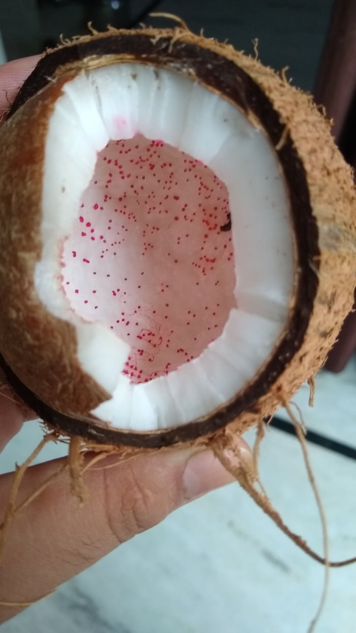 What are these spots inside this coconut? - 9GAG