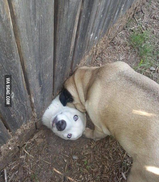 Whatcha guys doin over here? - 9GAG