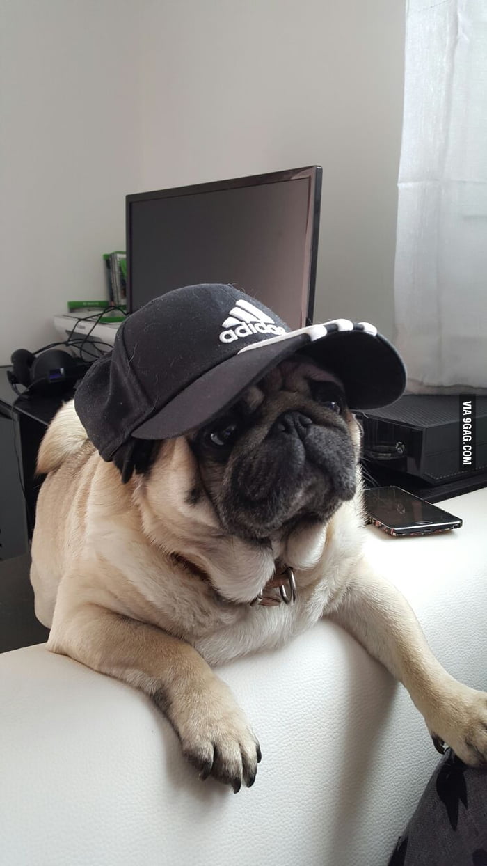 My slav dog ( console peasant ) - 9GAG