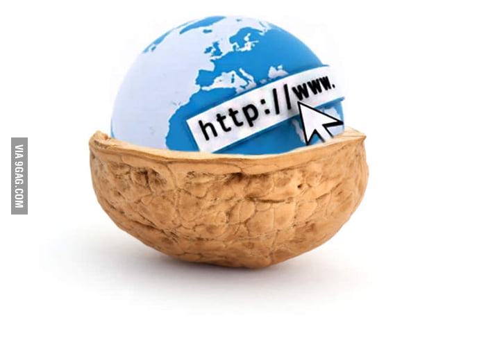 The Internet In A Nutshell 9gag