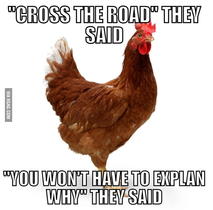 Poor Chicken - 9GAG