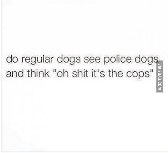 Doge question - 9GAG