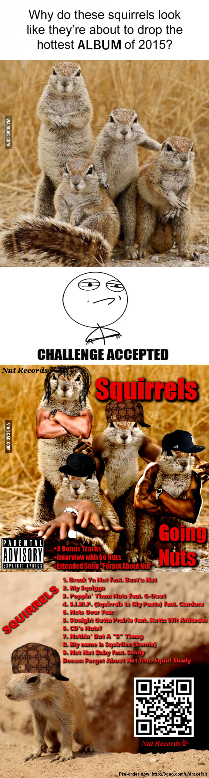 Squirrels "Going Nuts" - List of Songs LEAKED! - 9GAG