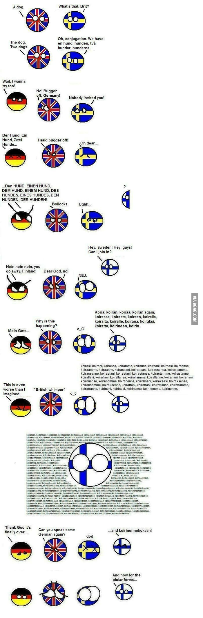 How to conjugate "dog" in finnish - 9GAG
