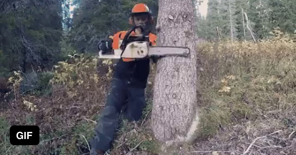 How to cut down a tree, hillbilly style. - 9GAG