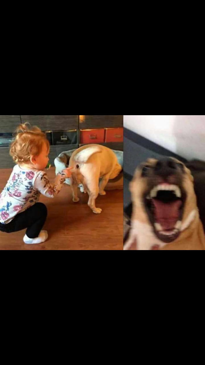 When she try's anal for the first time - 9GAG