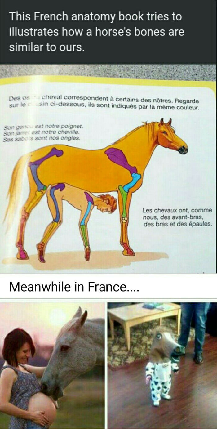 The centaur legend is real! - 9GAG