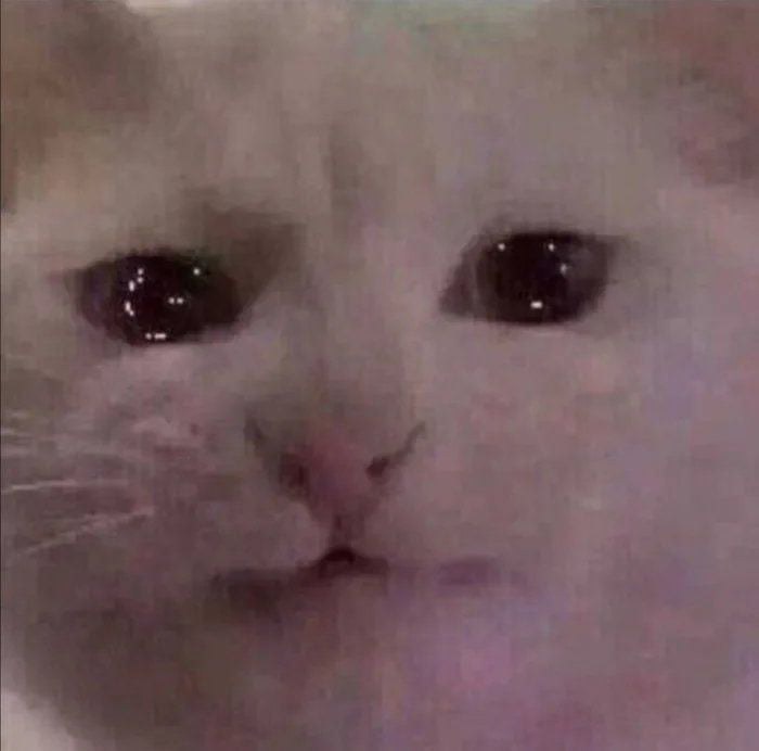 Post sad cats in the comments! - 9GAG
