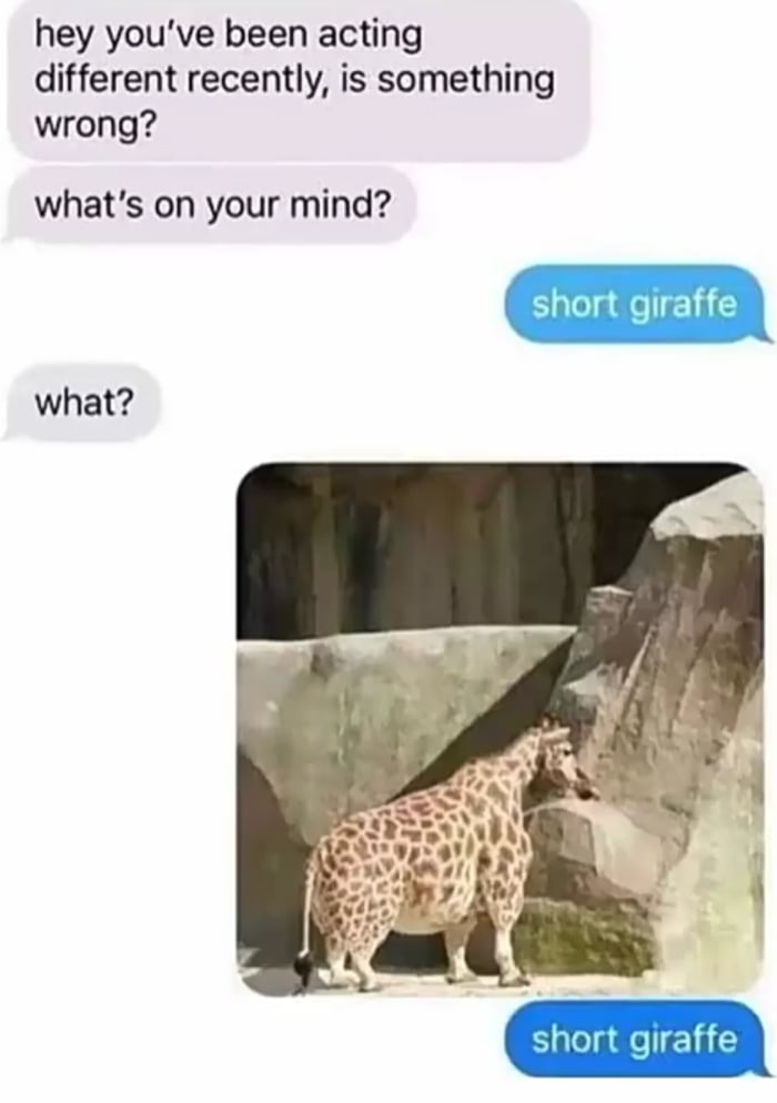 Short giraffe - 9GAG